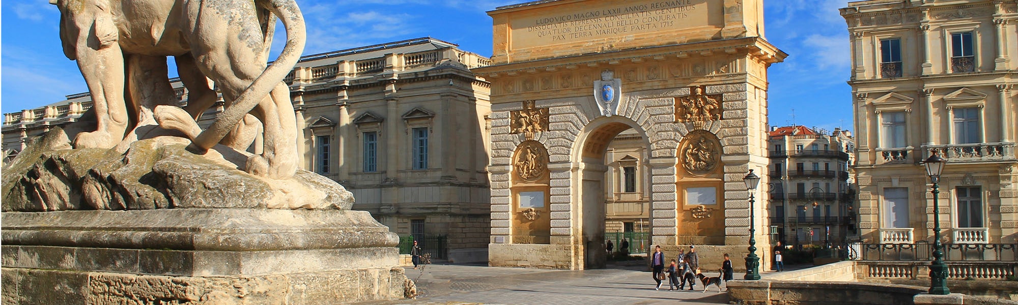 ELAPSE dissemination in Montpellier, France - LFEE